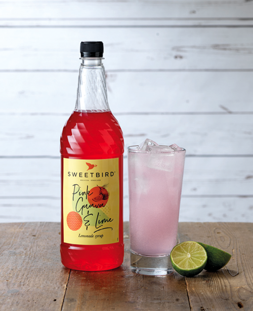 Solberg Hansen Shop B2B - Sirup: Pink Guava & Lime Lemonade